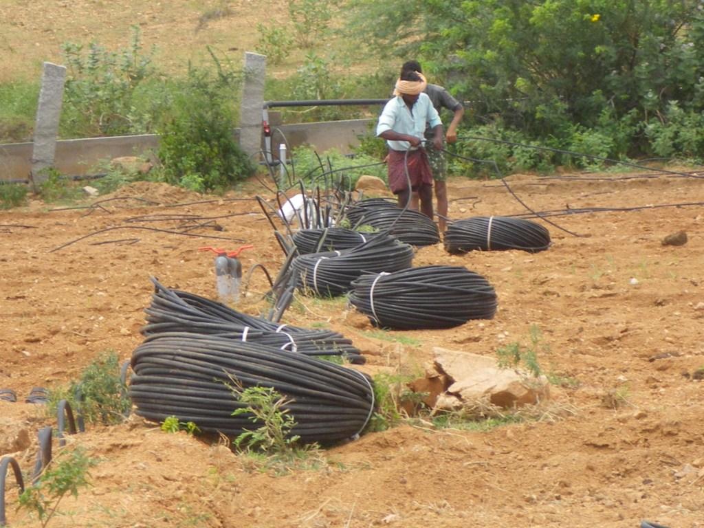 Help Animals India Funding Drip Irrigation – Karuna Society for Animals ...
